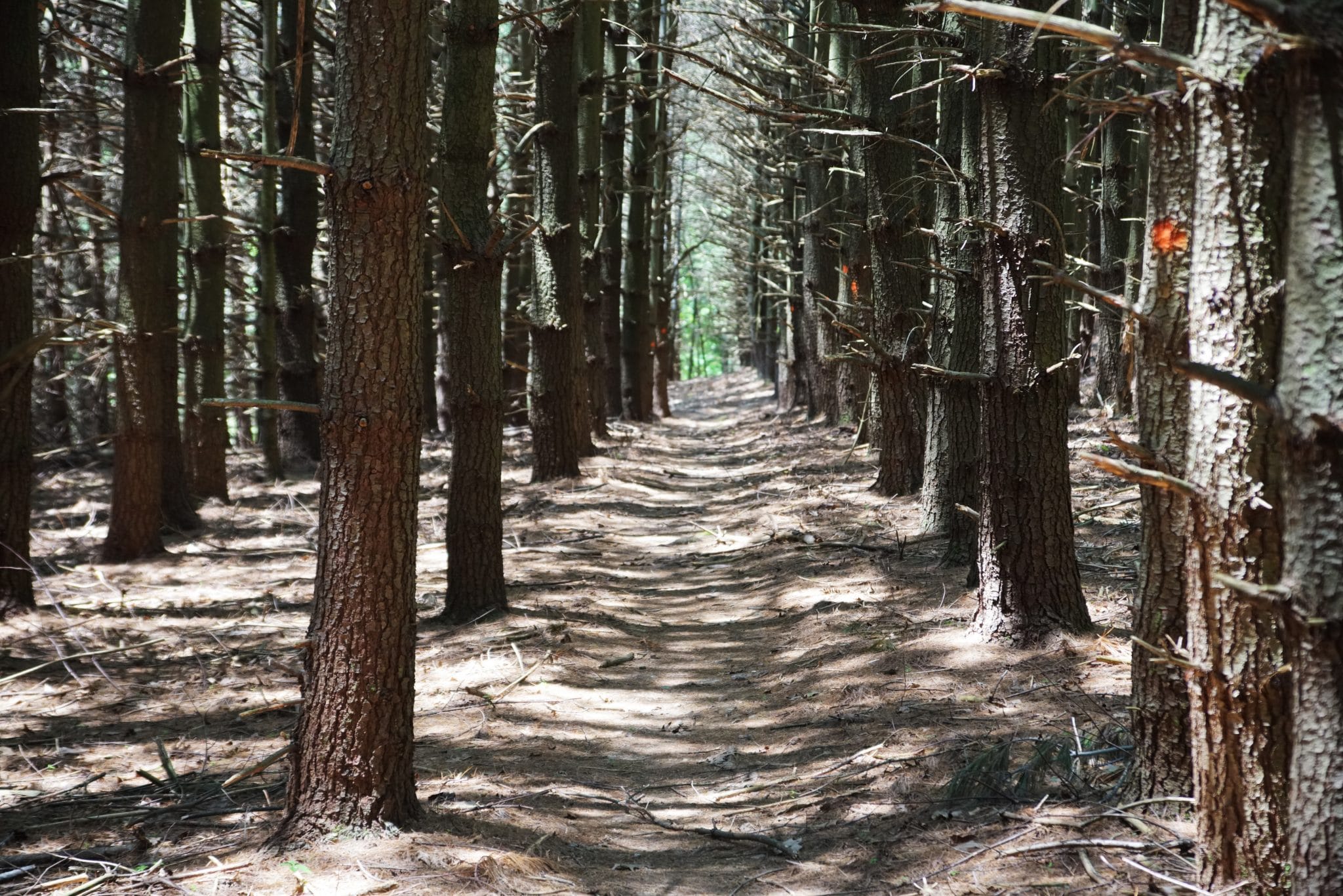 5 Memorable Must Dos in 2020 - Capon Springs