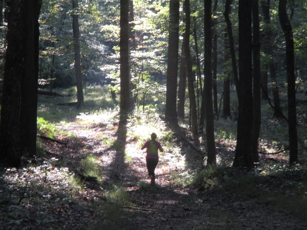 Bridge, Outdoor play, Hike and Weave: May Days 5/7-17 - Capon Springs